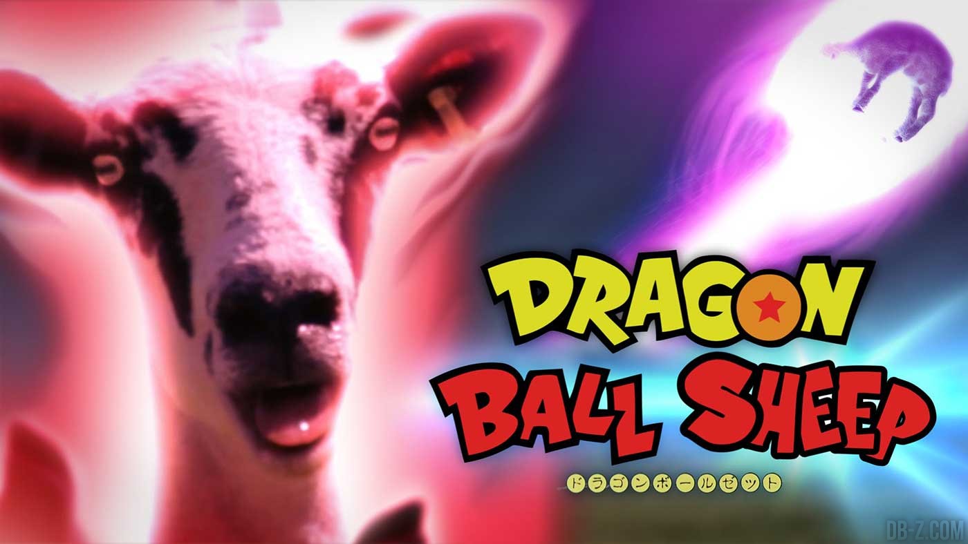 Dragon Ball Sheep : GOKU vs VEGETA en mode mouton