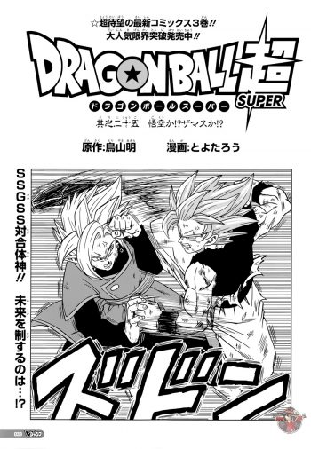 Dragon Ball Super Chapitre 25 : Images du Chapitre 25 de DBS
