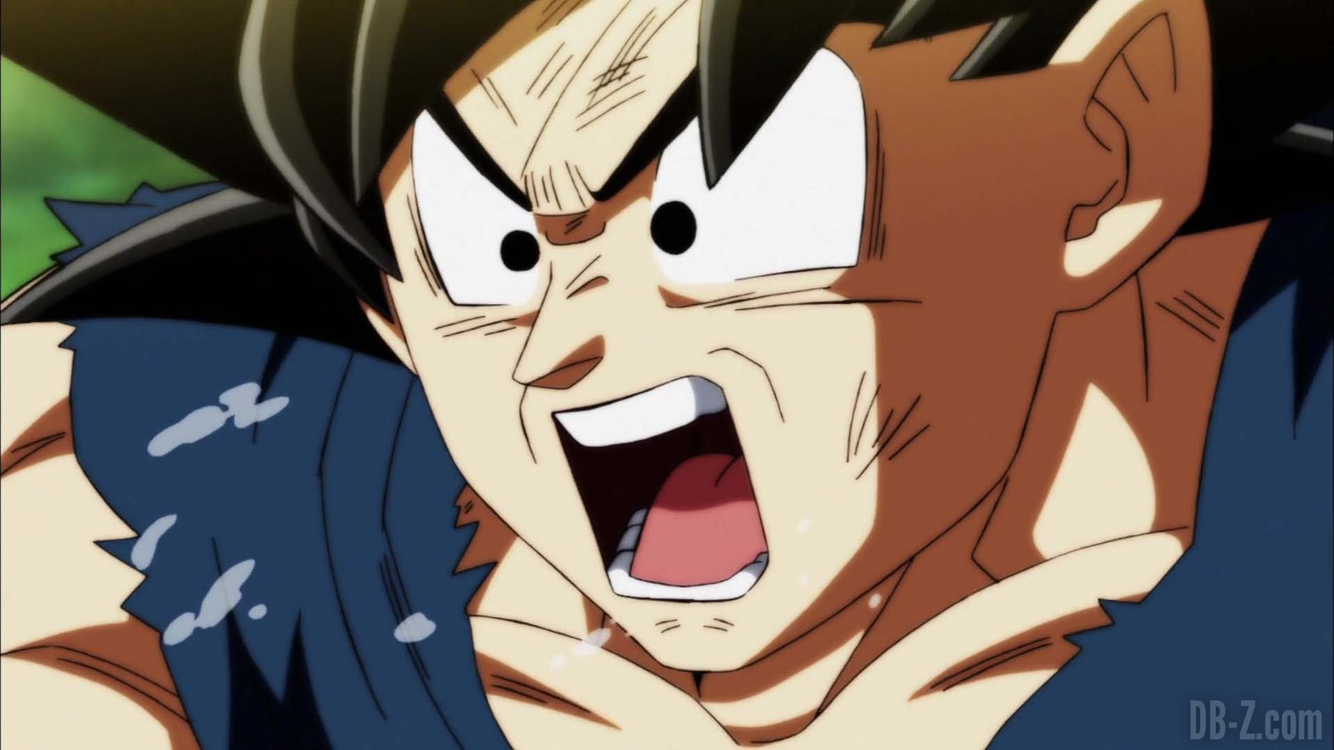 Dragon Ball Super Épisode 113 : Super Saiyan vs Super Saiyan