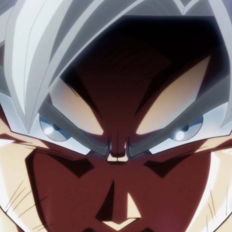 Dragon Ball Super Épisode 129 : L'Ultra Instinct maîtrisé