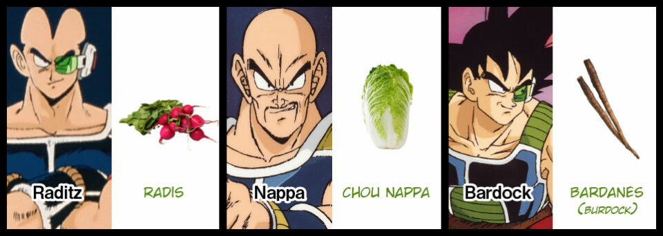 Êtes-vous incollables sur l'origine des noms des Saiyans de Dragon Ball